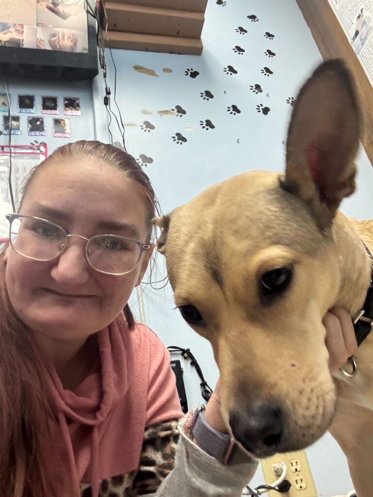 About Us – Melissa's Second Chances